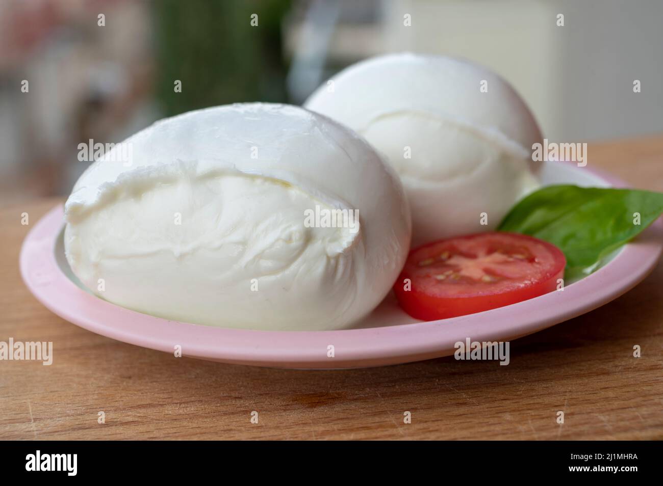 Bufala animal hi-res stock photography and images - Alamy