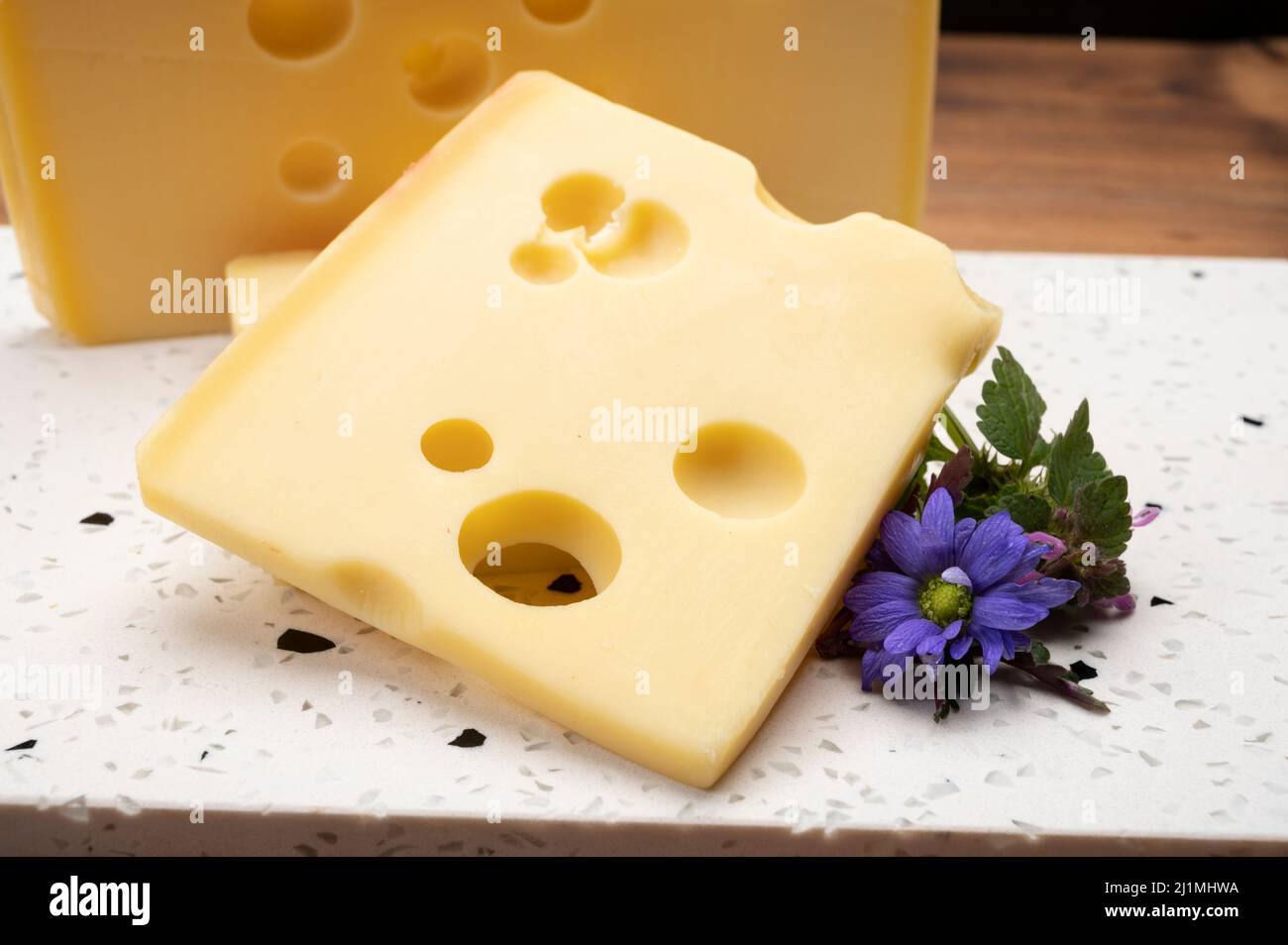 Swiss cheese collection, yellow emmentaler or emmental cheese with ...