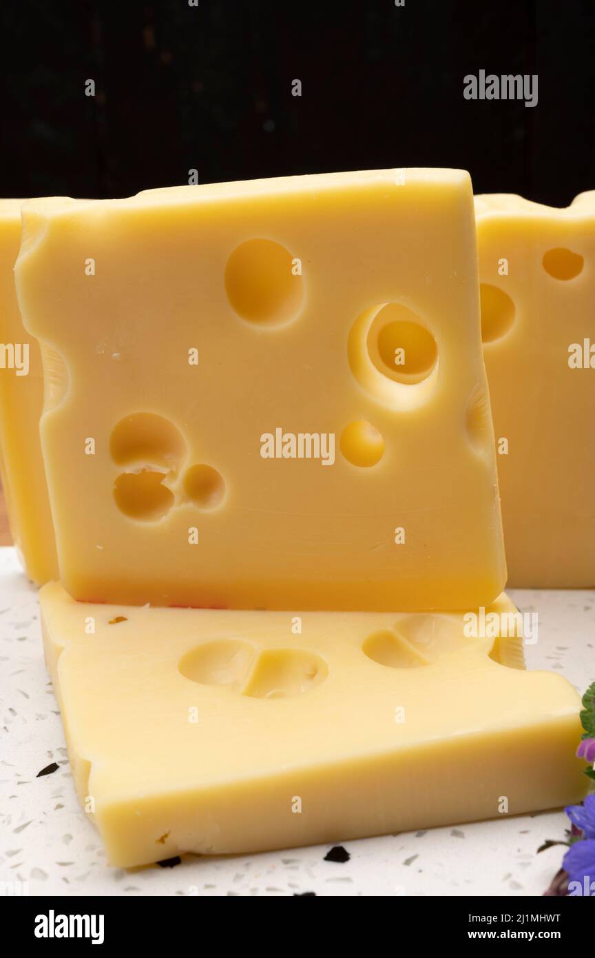 Swiss cheese collection, yellow emmentaler or emmental cheese with ...