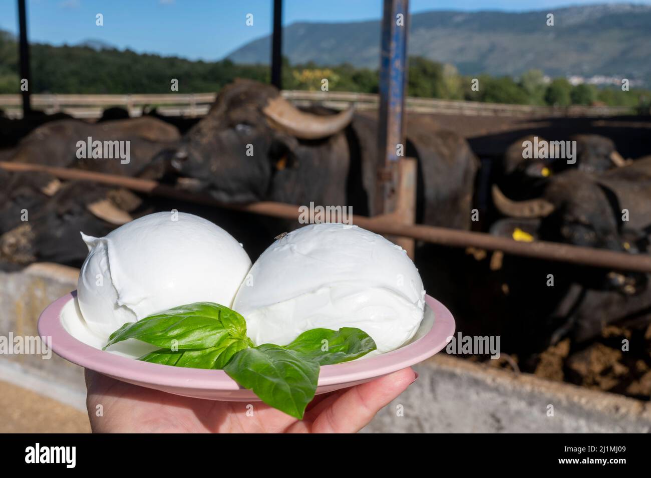 Campaña italiana hi-res stock photography and images - Alamy
