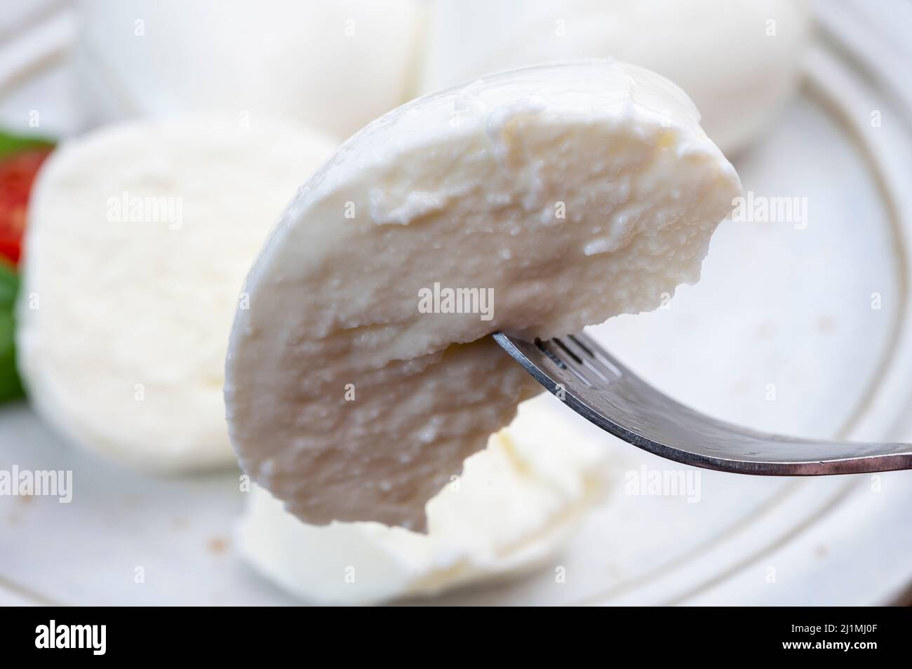 Tasing of fresh italian cheese mozzarella di buffalo close up Stock ...