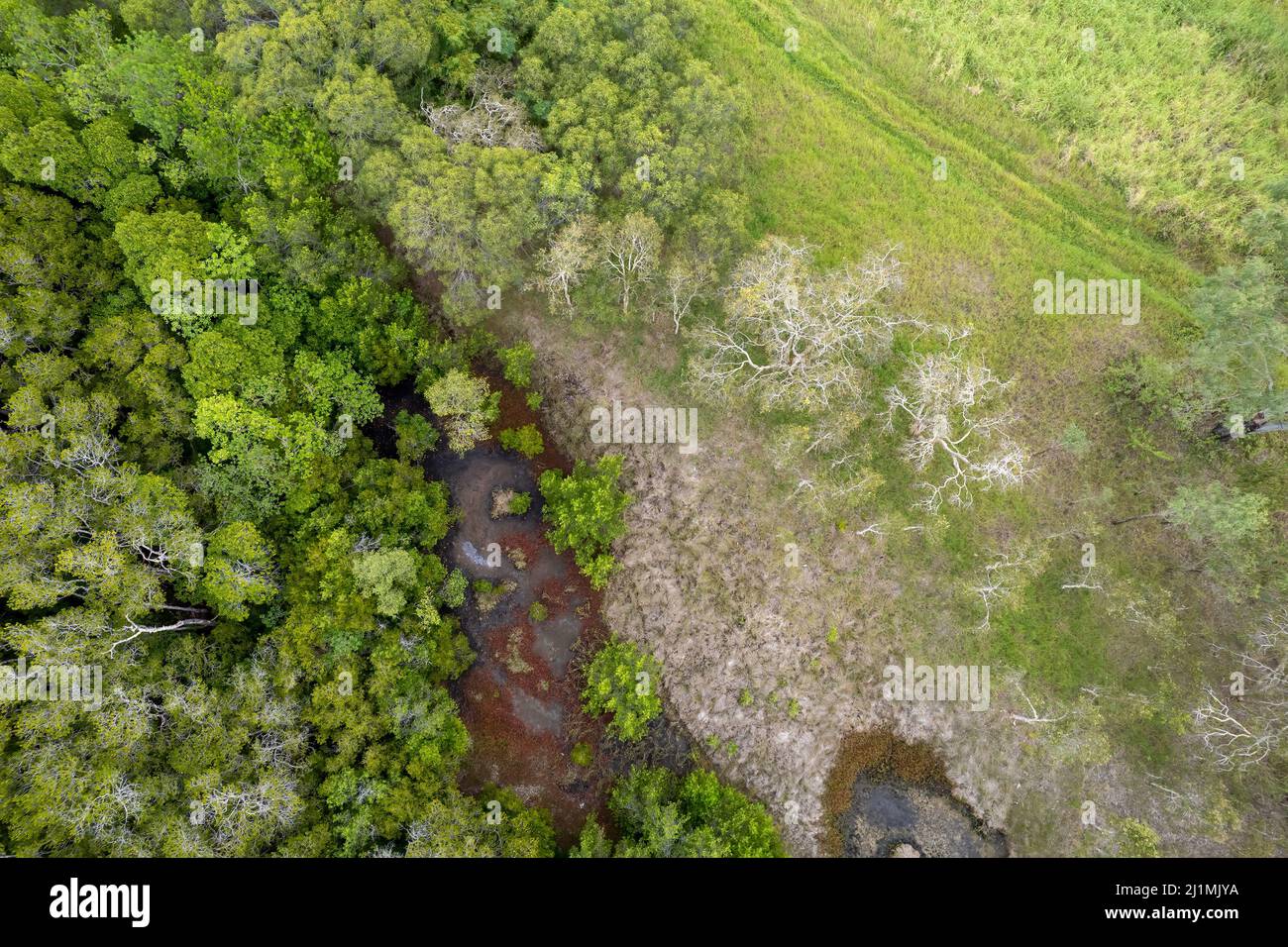 A small watercourse or creek winding through rural bushland. Drone ...