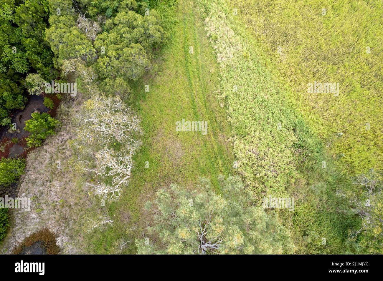 Overhead the banks of a small creek winding through rural bushland ...