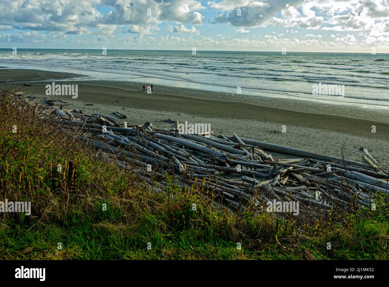 Beachcombers stroll along the driftwood-strewn beach at Kalaloch on the ...
