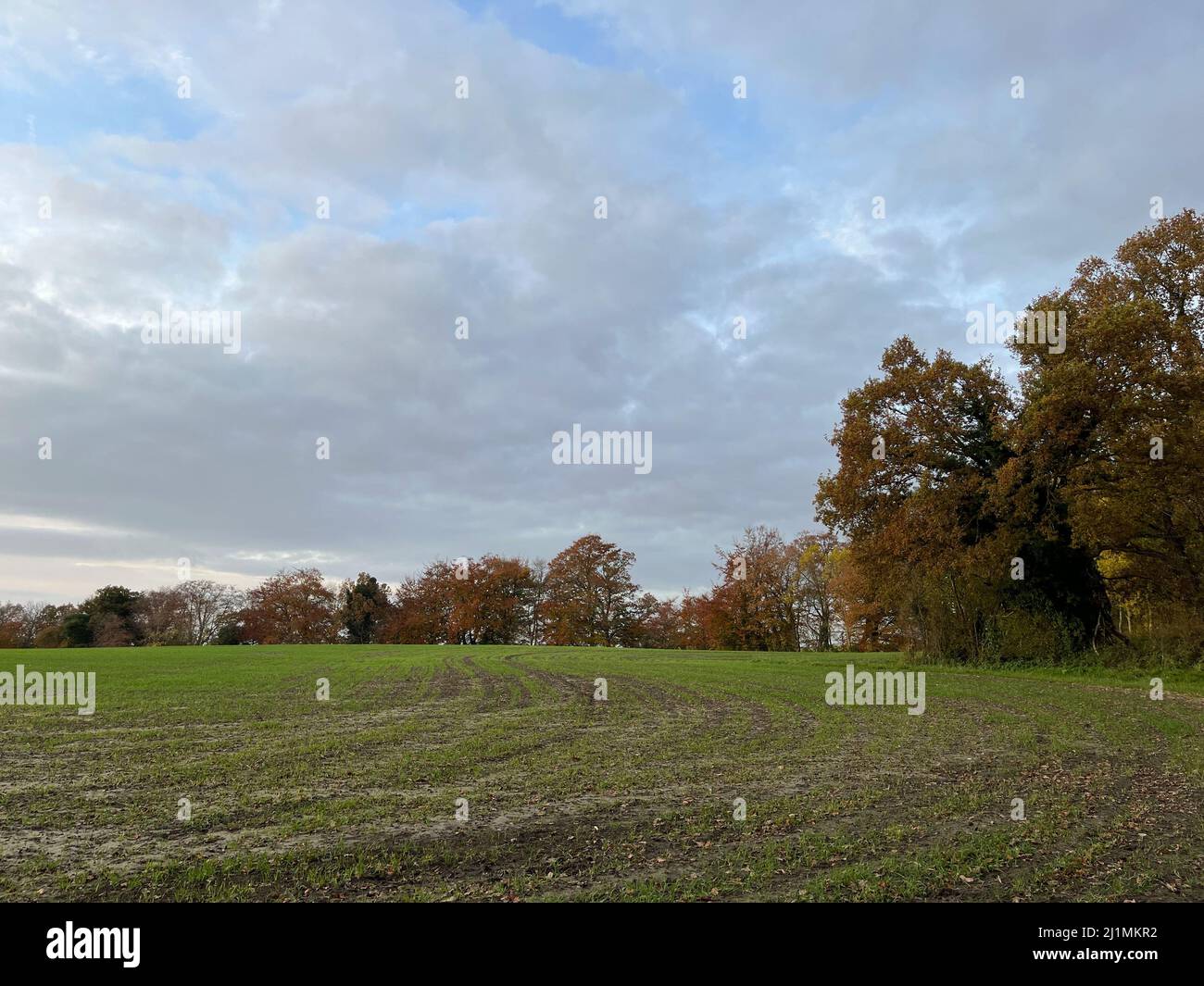Empty green english field hi-res stock photography and images - Alamy