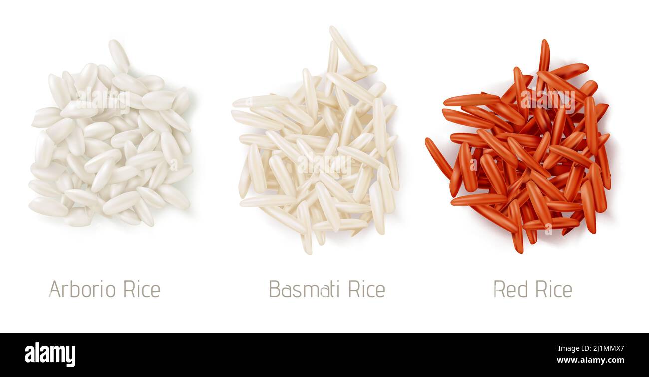 Different Types Of Rice Seeds at Riley Martha blog