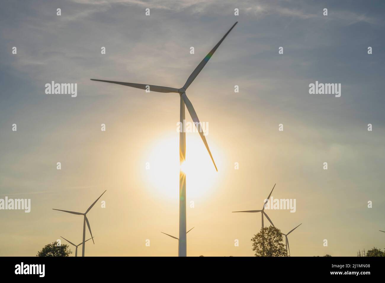 Wind turbines are alternative electricity sources, the concept of ...