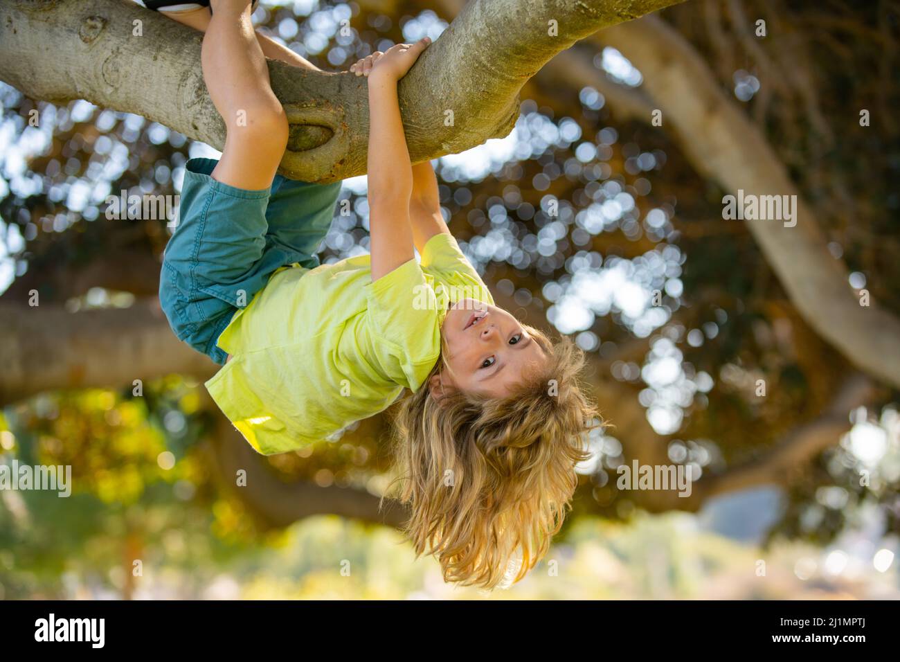 Cute blonde child boy hangs on a tree branch. Summer holidays, little ...