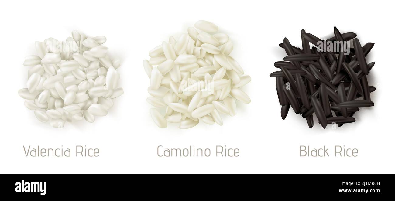 Rice valencia, camolino and wild grain piles top view isolated on white ... Rice valencia, camolino and wild grain piles top view isolated on white ...