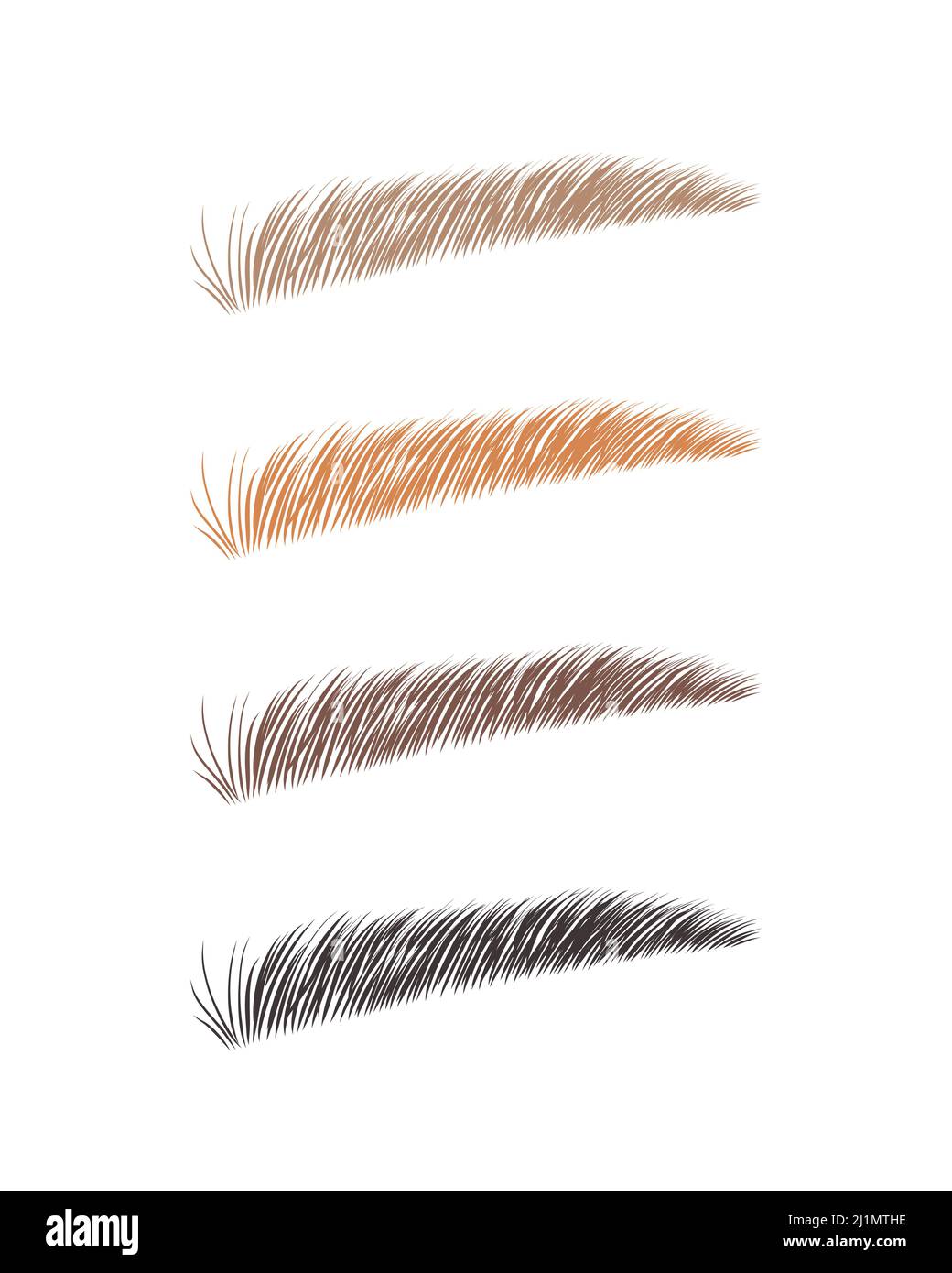 Female eyebrows in various colors. Blonde, red and dark hair. Sable ...