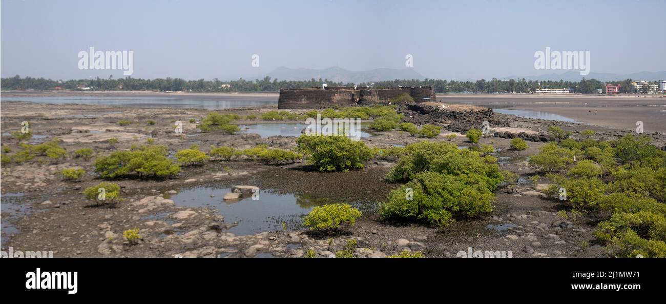 Kolaba Fort is sarrounded by Mangrove Forest It is situated in the sea ...