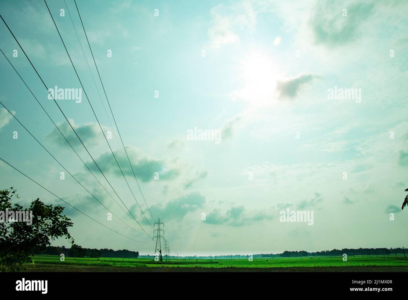 Pylons with electrical wire on the farm field Stock Photo - Alamy