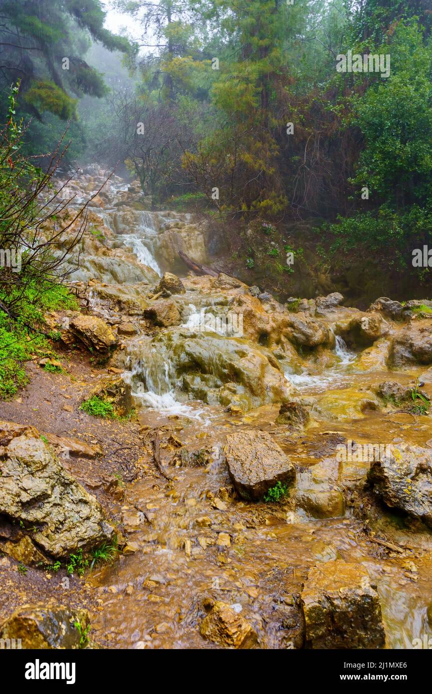 View of the cascades waterfall of Parod, Parod stream, Upper Galilee ...