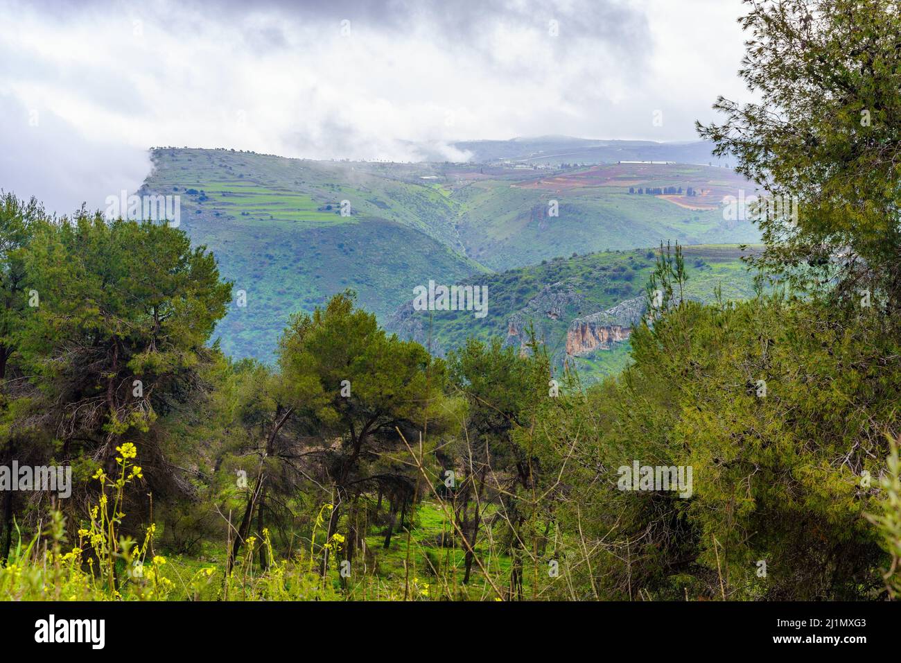 Winter view of landscape and countryside of the Dishon valley, Upper ...