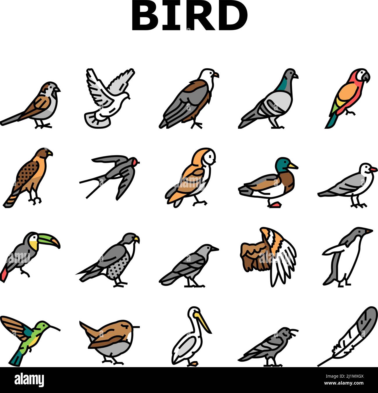 Bird Flying Animal With Feather Icons Set Vector Stock Vector Image ...