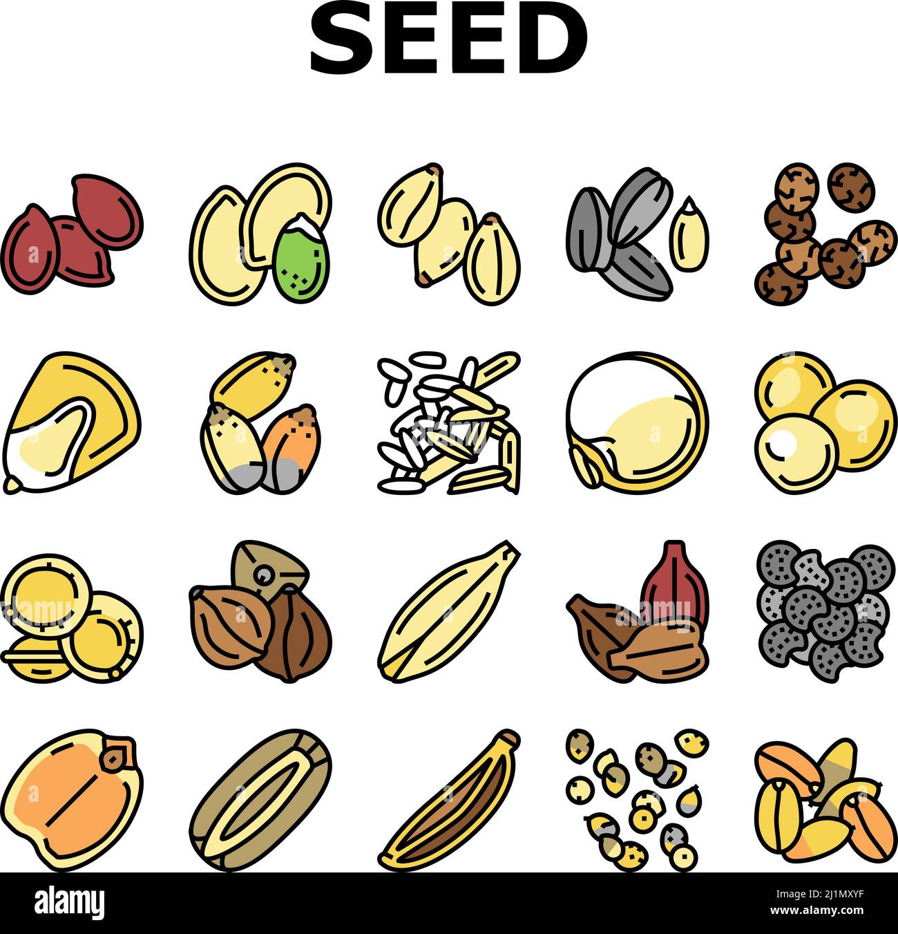 Seed Plant Agriculture Culture Icons Set Vector Stock Vector Image ...