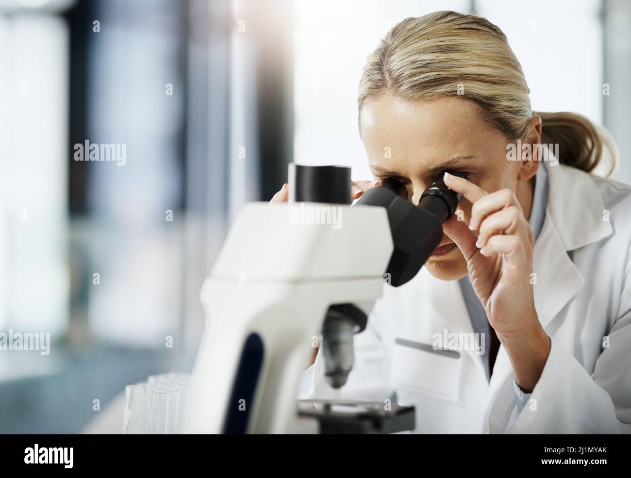 Getting down to the nitty-gritty. Cropped shot of an attractive mature ...