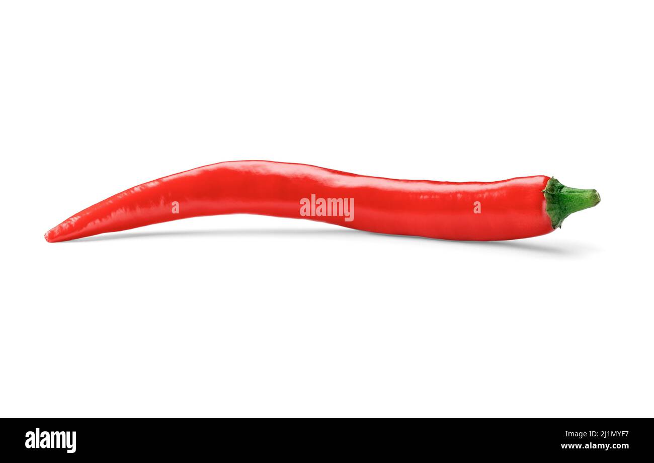 red hot chili pepper. high-quality studio shot of red long capsicum ...
