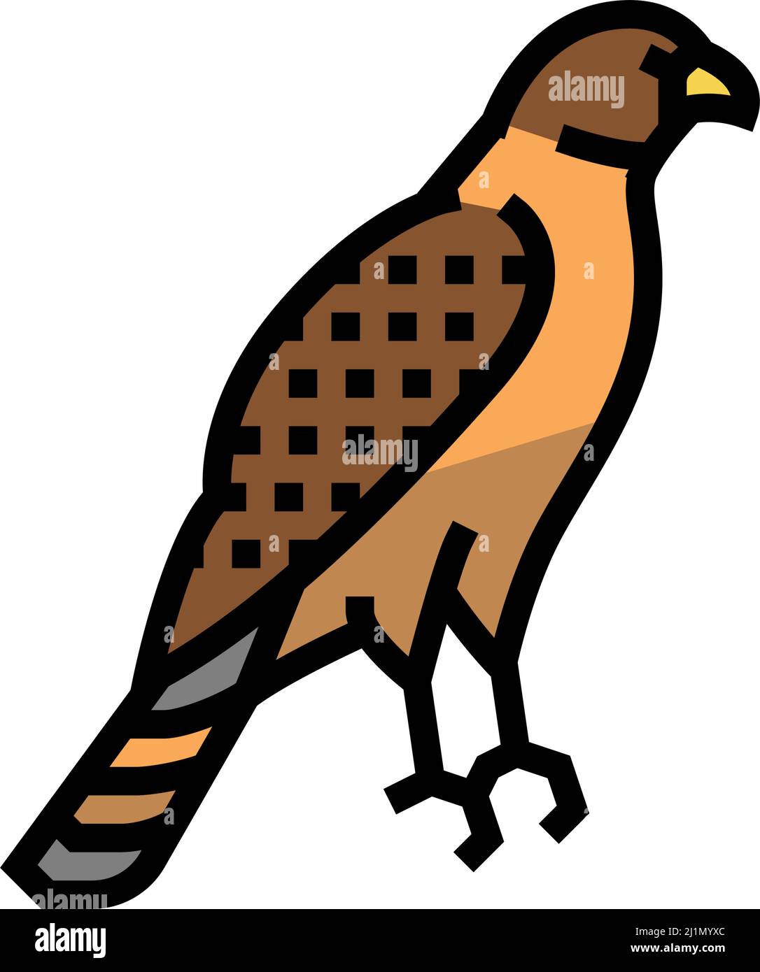 hawk bird color icon vector illustration Stock Vector Image & Art - Alamy