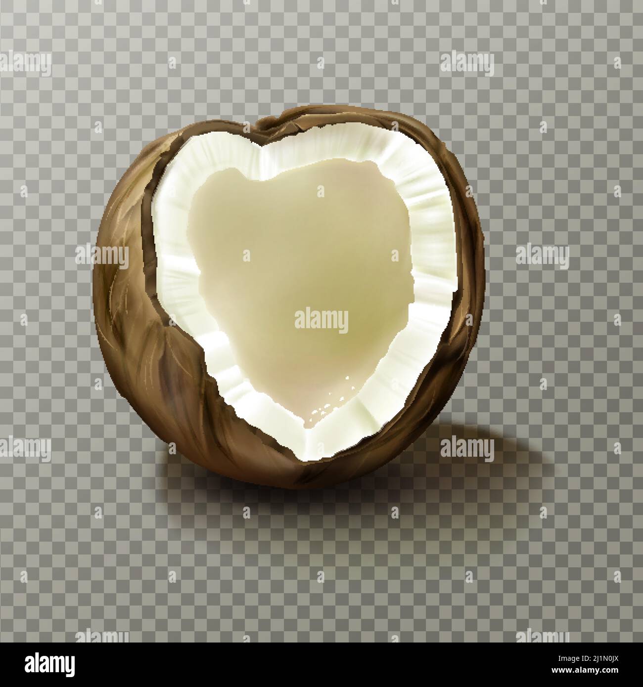Realistic coconut, highly detailed empty cracked coco nut piece with ...