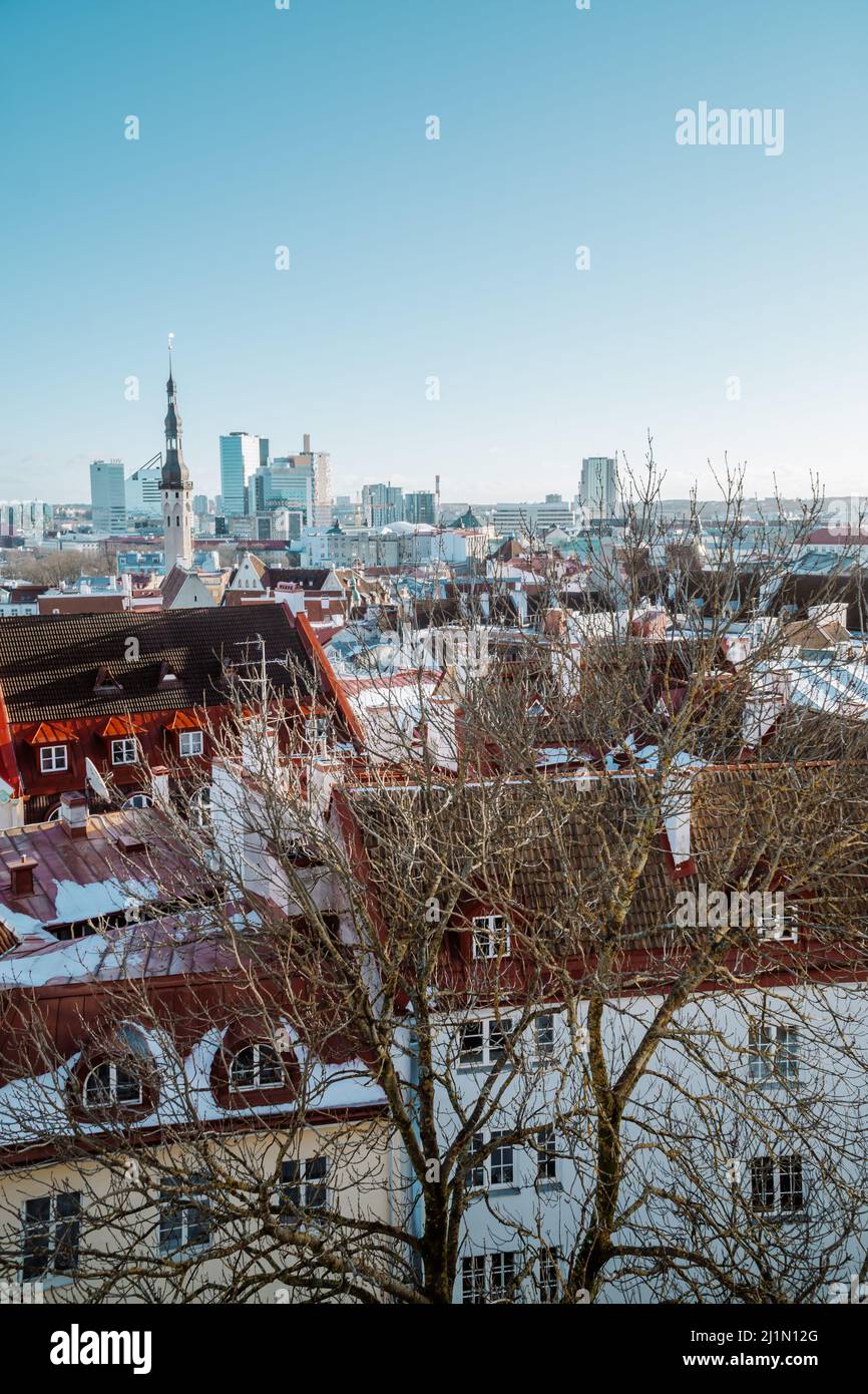 Tallinn landscape vertical hi-res stock photography and images - Alamy