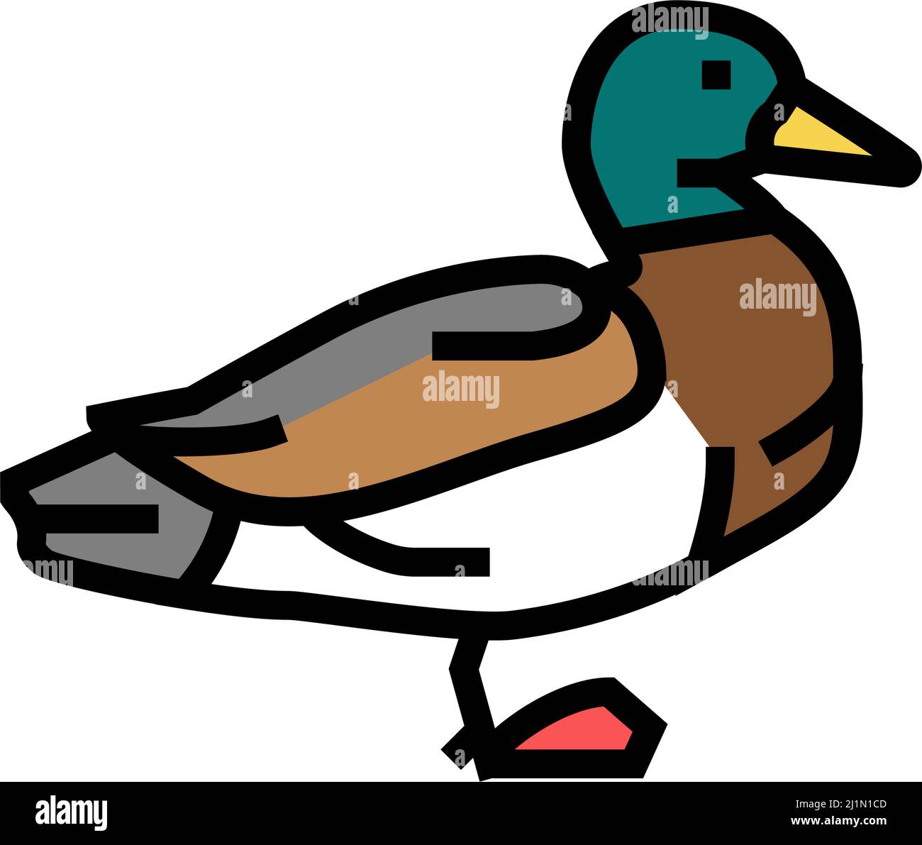 duck bird color icon vector illustration Stock Vector Image & Art - Alamy