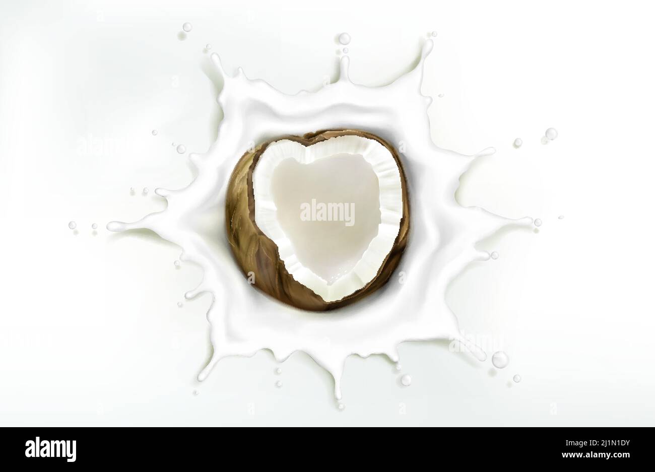 Coconut in milk splash isolated on white background. Vector ...