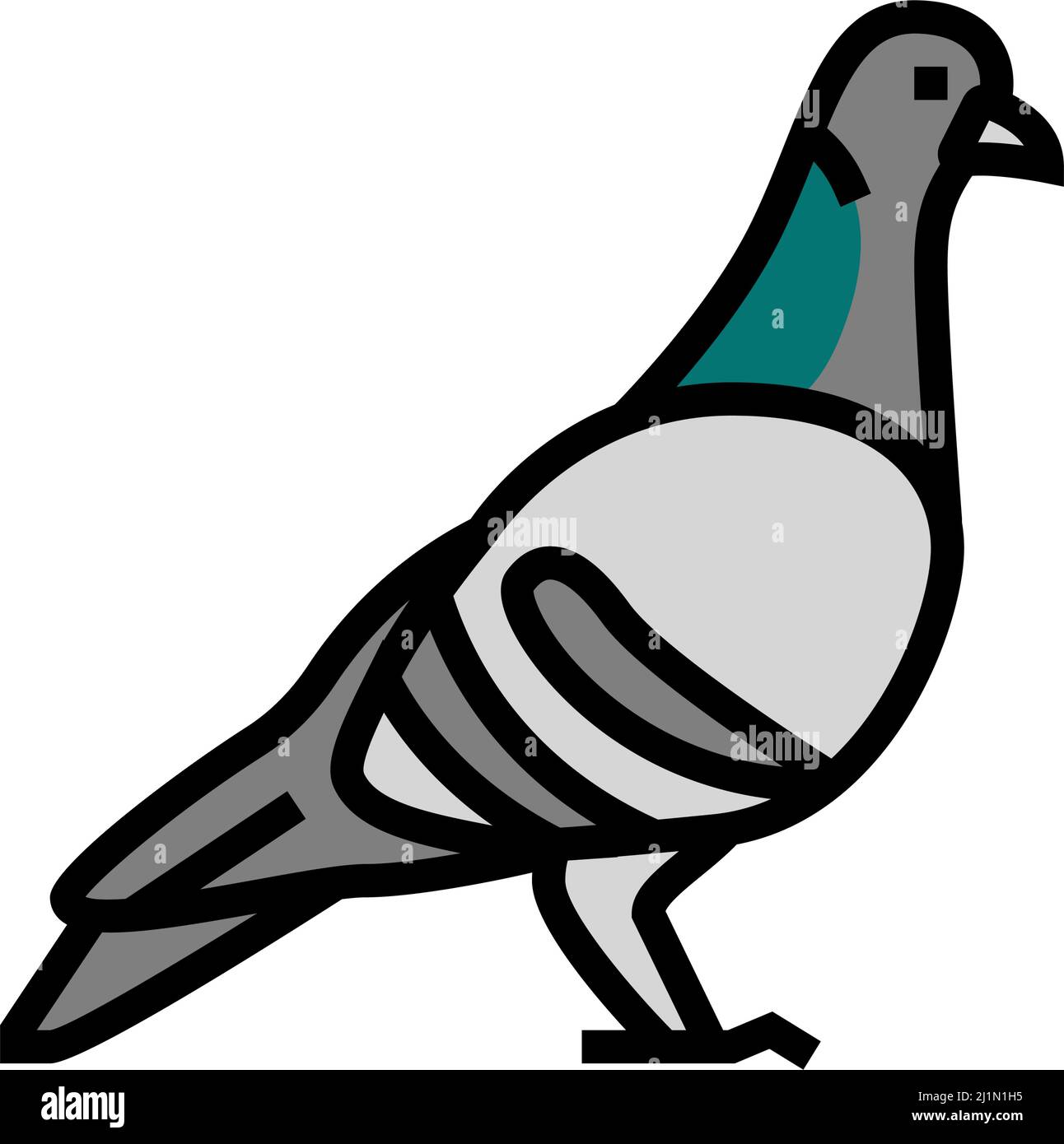 pigeon bird color icon vector illustration Stock Vector Image & Art - Alamy