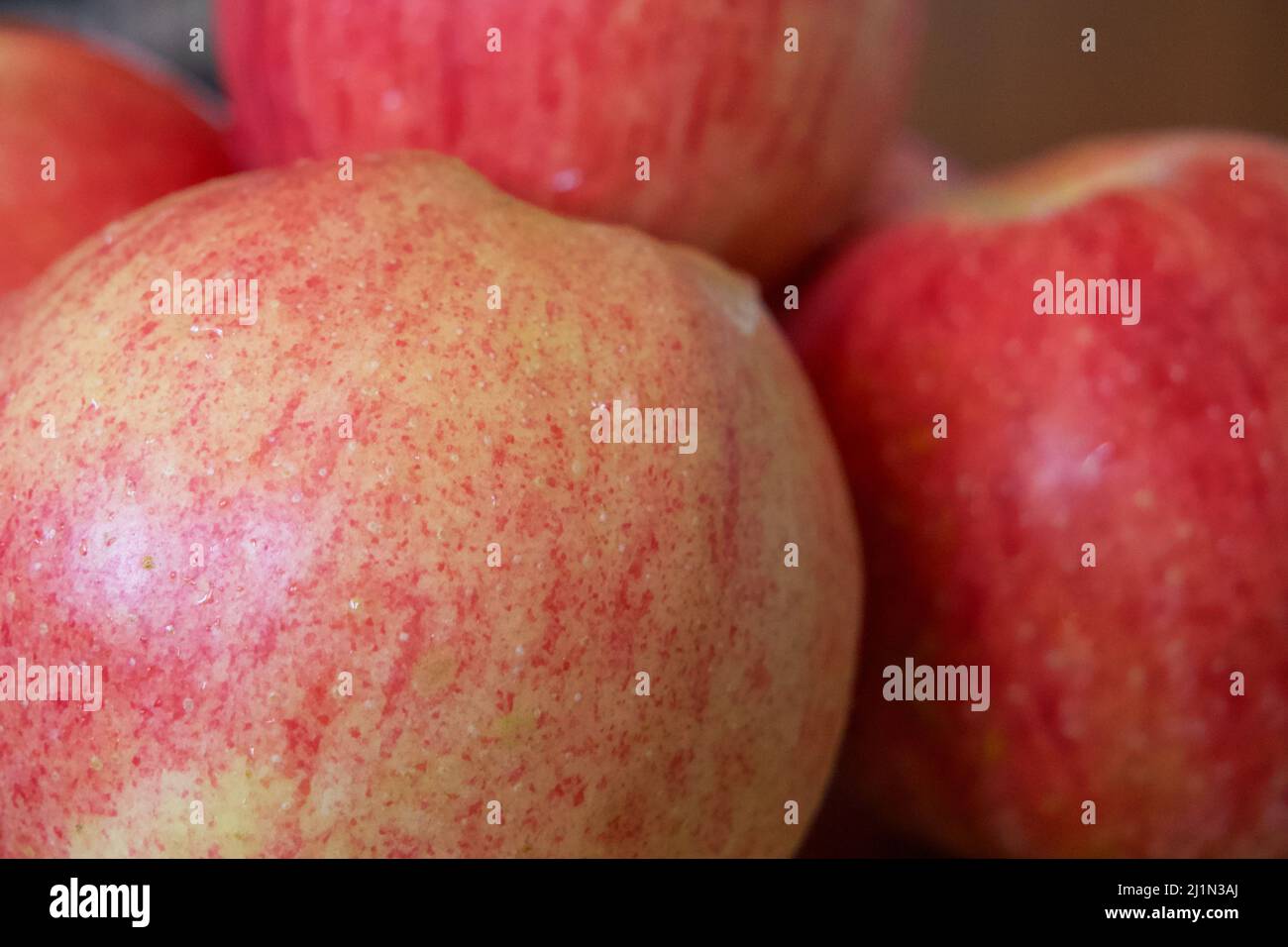 Several apples of the gala and Ligol varieties, a close-up shot Stock ...