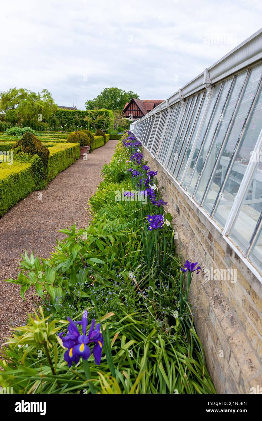 Original victorian vine house hi-res stock photography and images - Alamy