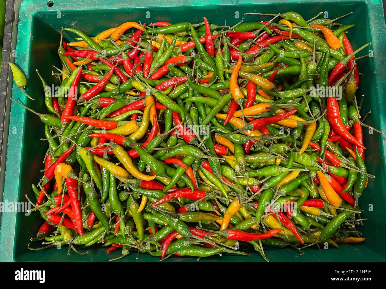 big choice of fresh fruits and vegetables on market counter Stock Photo ...