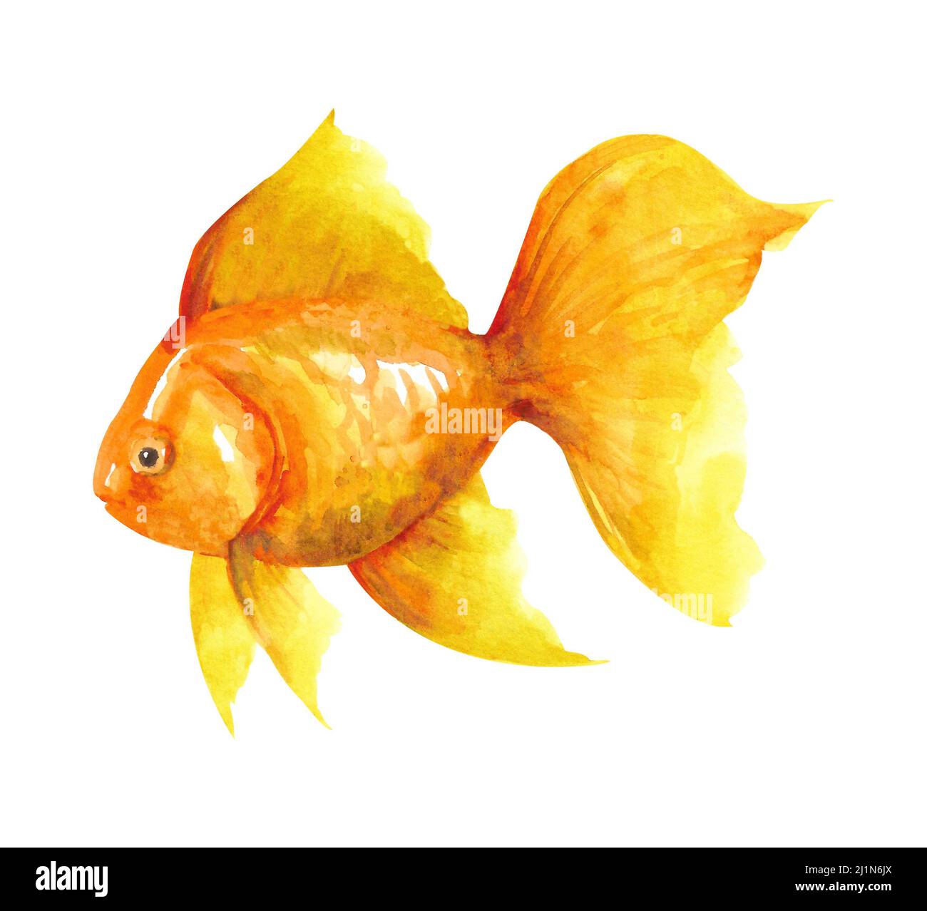 Watercolor fish. Hand draw yellow fish illustration isolated on white ...