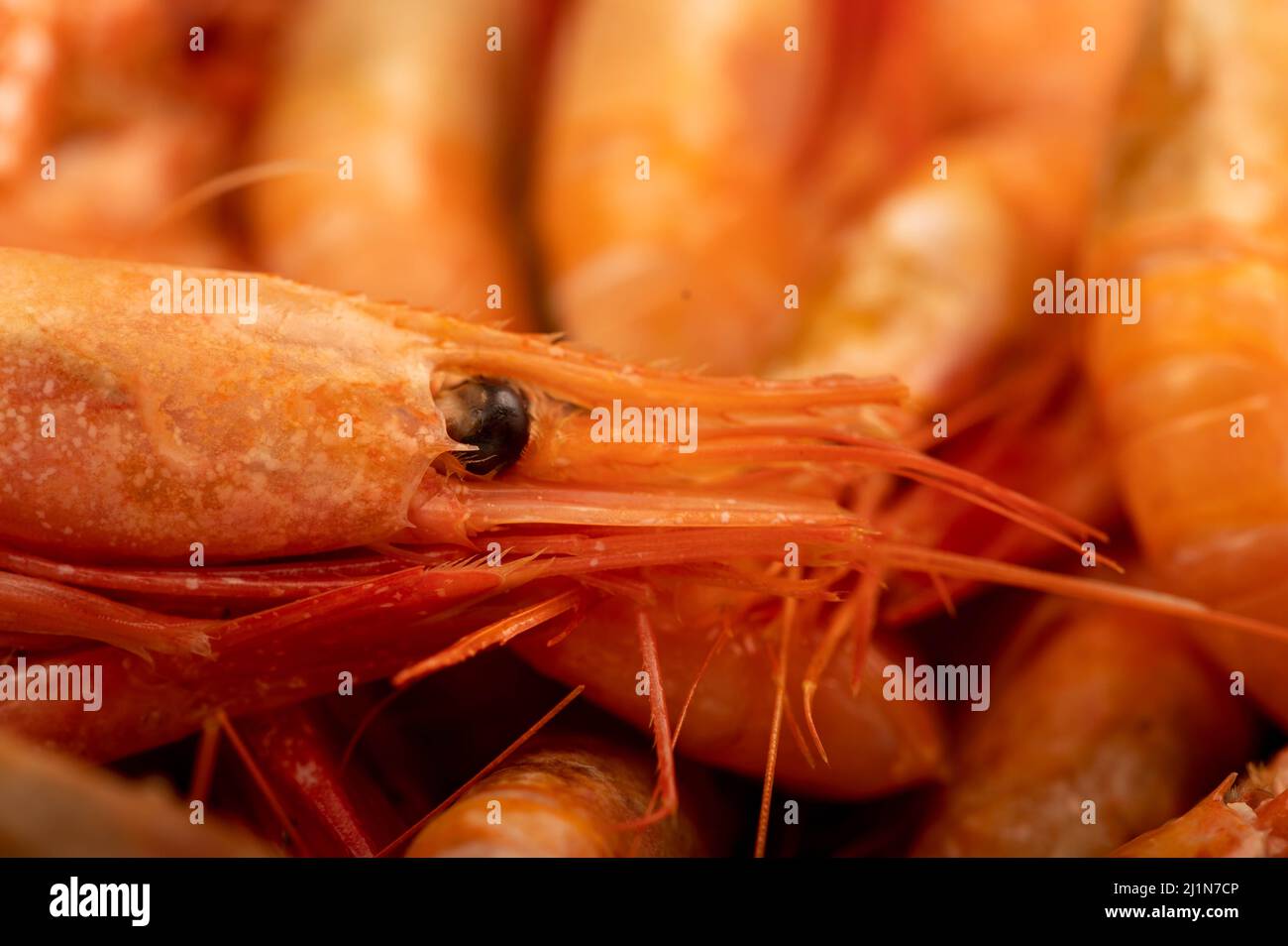 Atlantic shrimp cooked with allspice and bay leaf close-up, surface ...