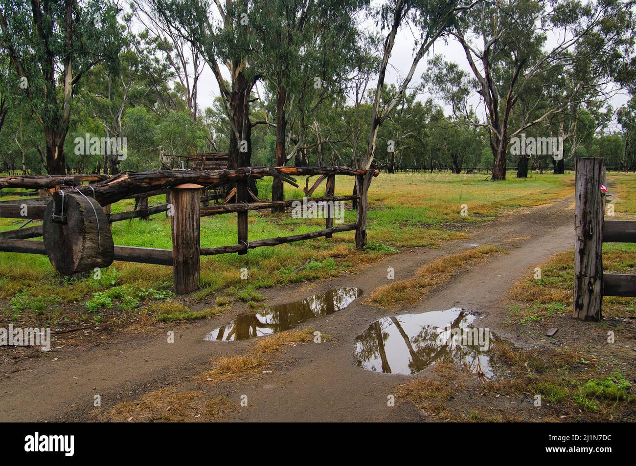 Old farm gate with a wood block as counterweight in a meadow with tall ...