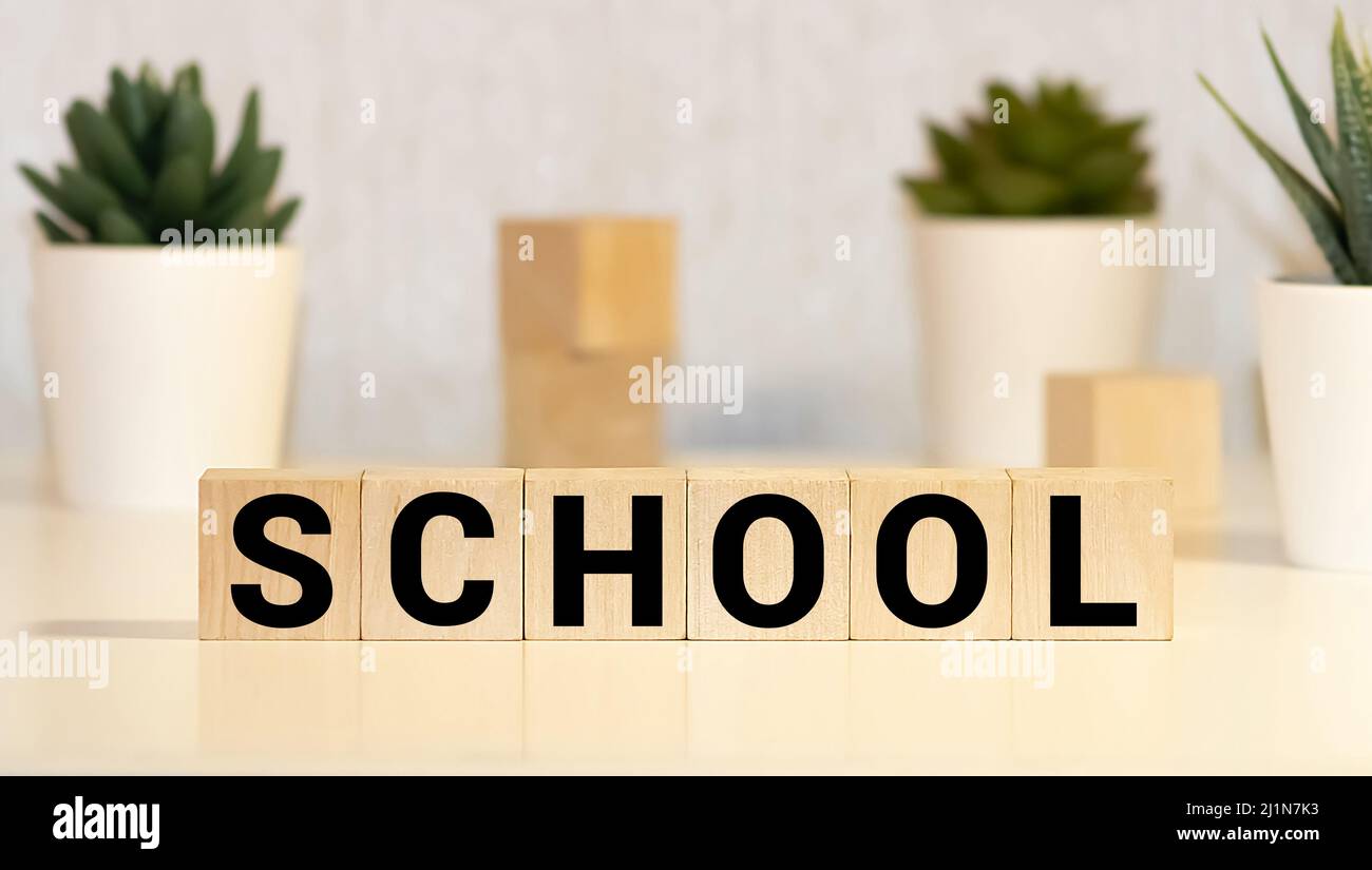 SCHOOL word concept written on wooden cube blocks on a white gray ...