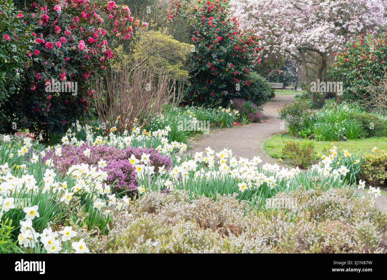 Southampton city centre park hi-res stock photography and images - Alamy