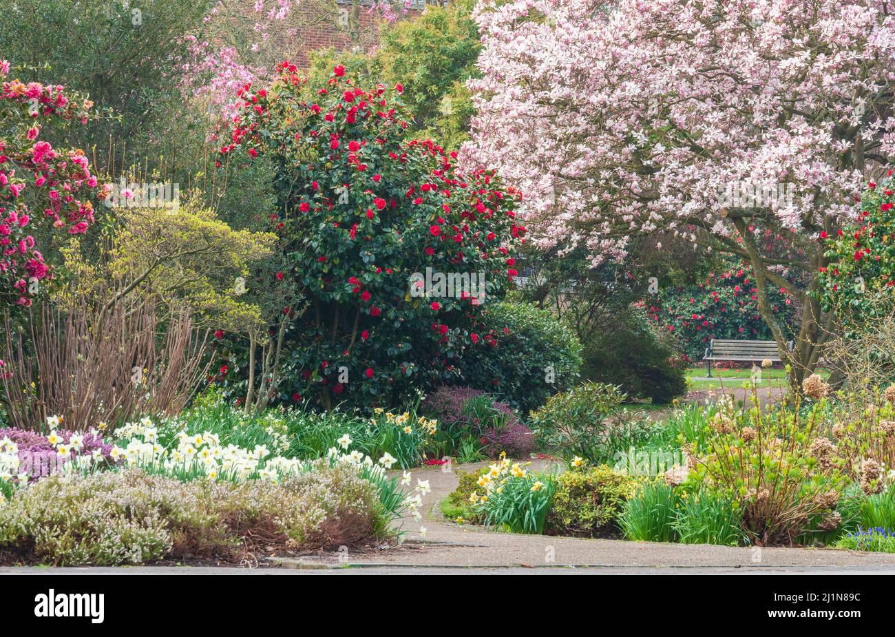 Palmerston Park, Southampton in Spring Stock Photo - Alamy