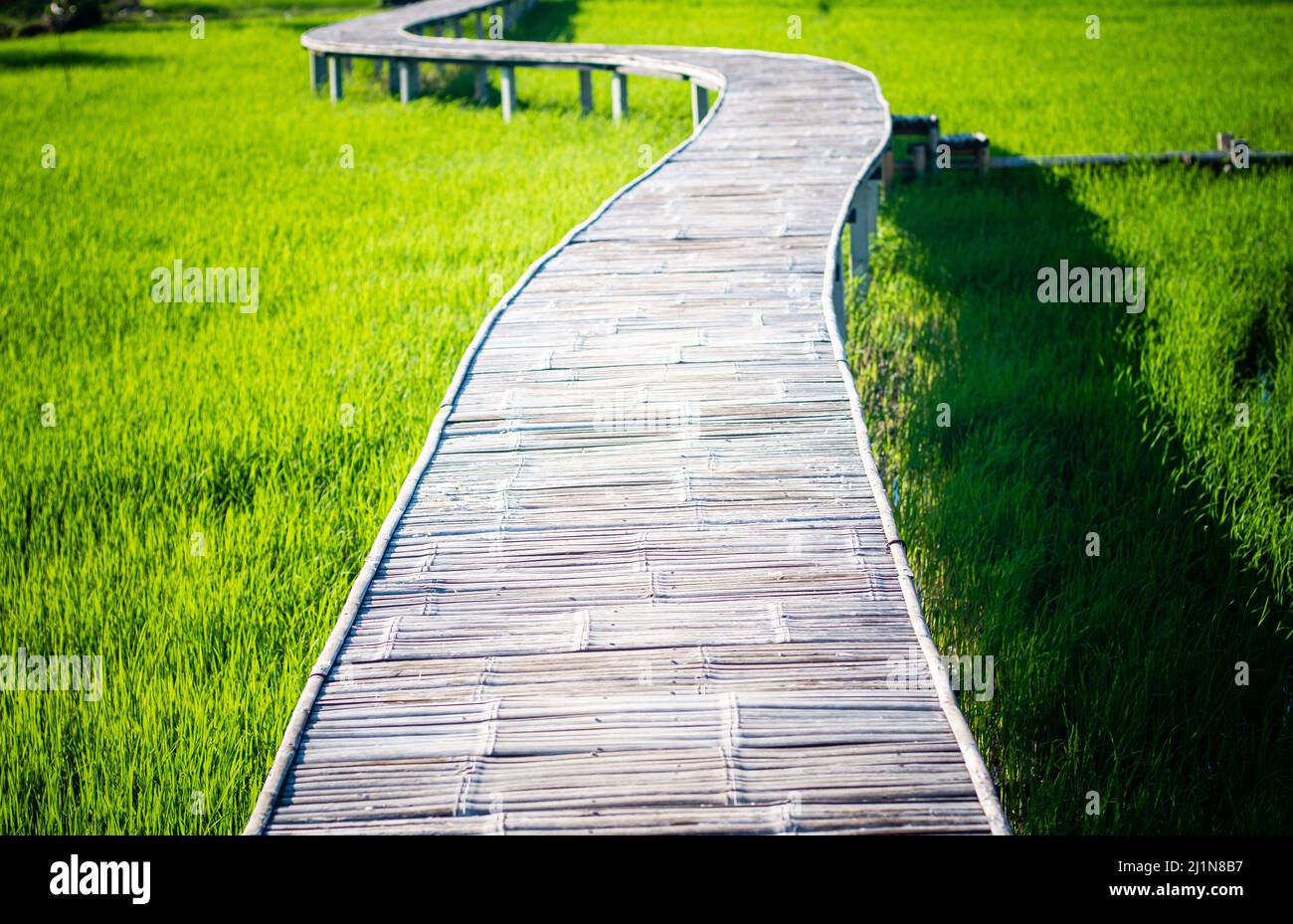 Curve Bamboo Bridge. Curved wooden bridge at park in paddy field Stock ...