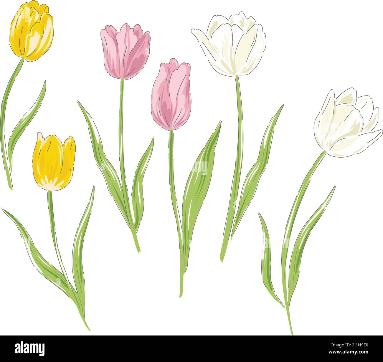 Easter Tulips Clip Art