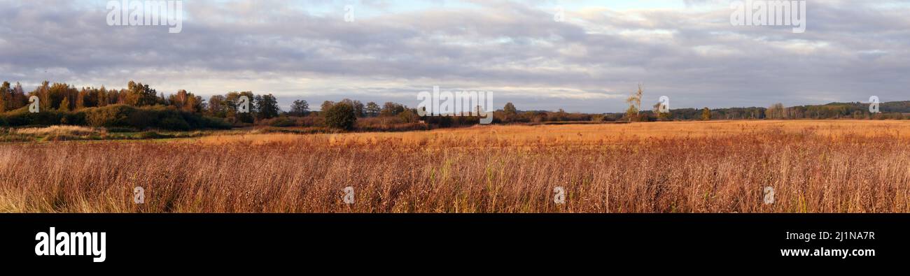 Panorama Of Ampermoos, Amper Bog, River Valley Fen Near Lake Ammersee ...