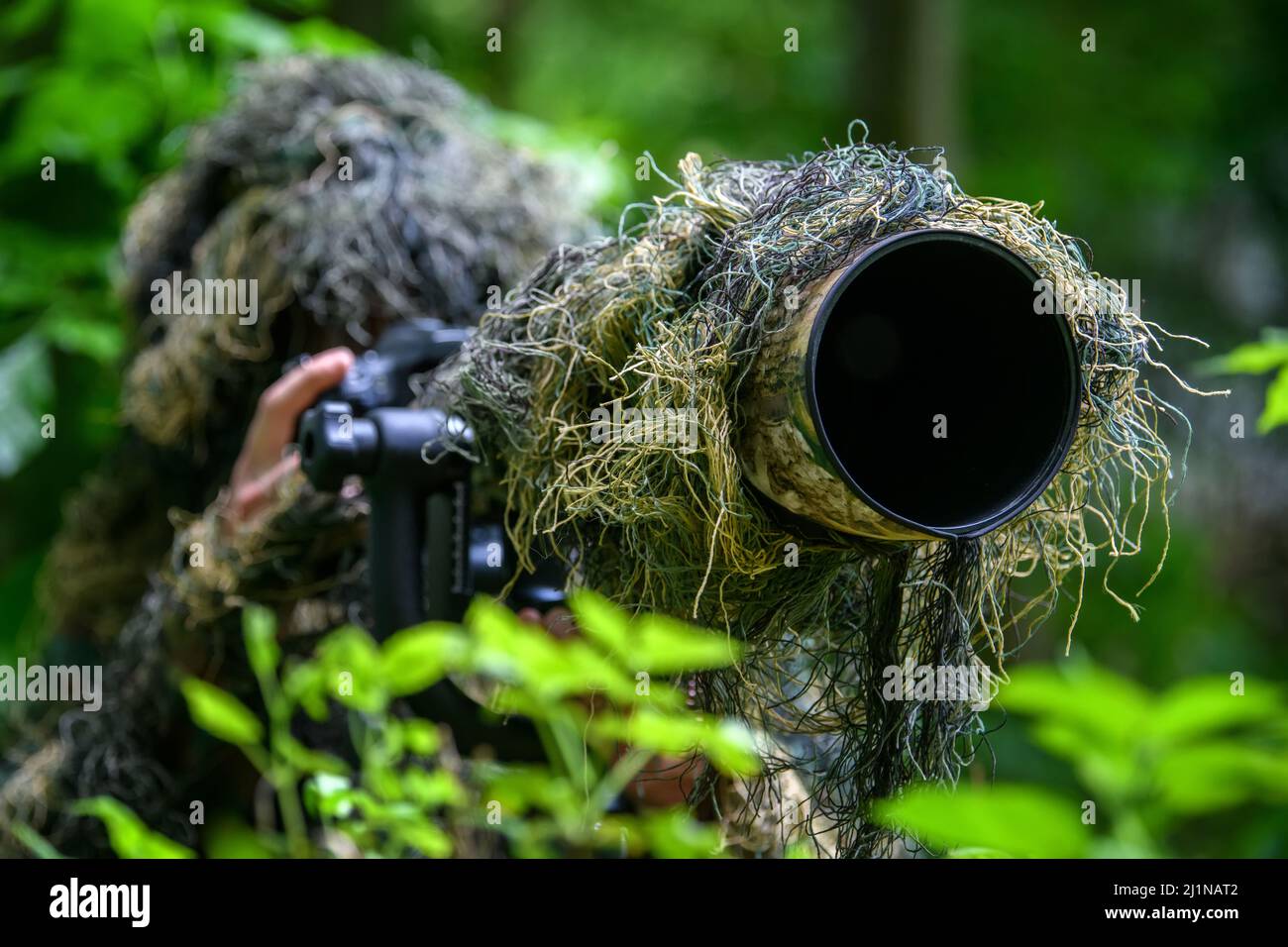 Wildlife photographer in the summer ghillie camouflage suit working in ...