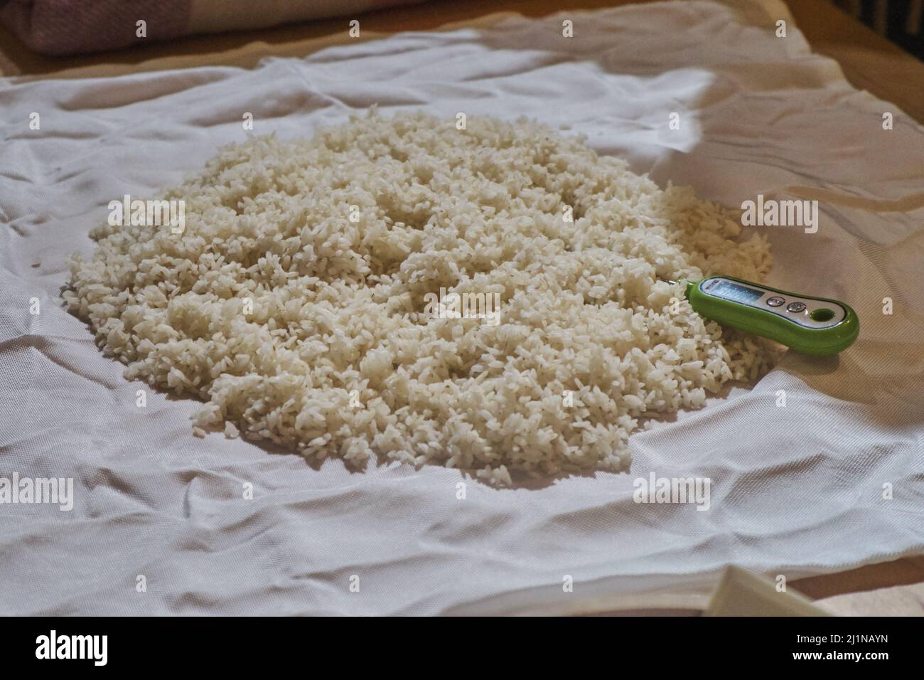 Cozy Koji rice fermentation conference, Bologna 2020 Stock Photo - Alamy