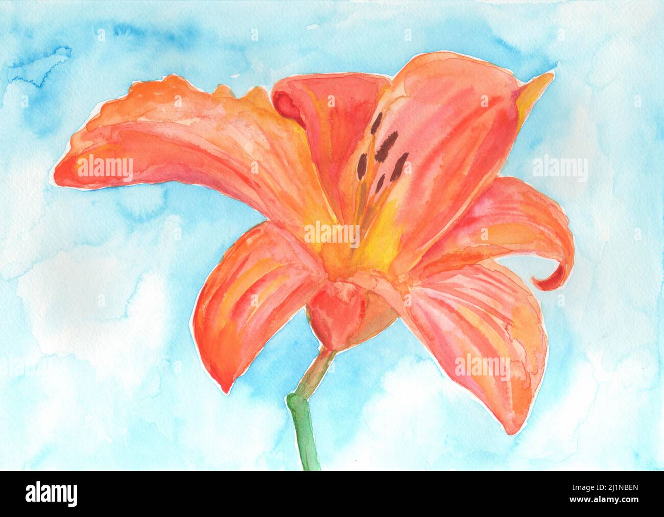 Lily of the field painting hi-res stock photography and images - Alamy