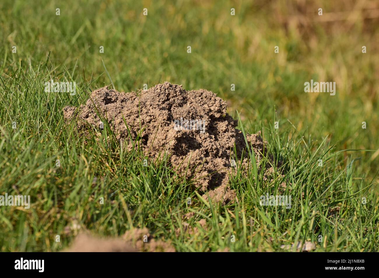 Pile earth hi-res stock photography and images - Alamy