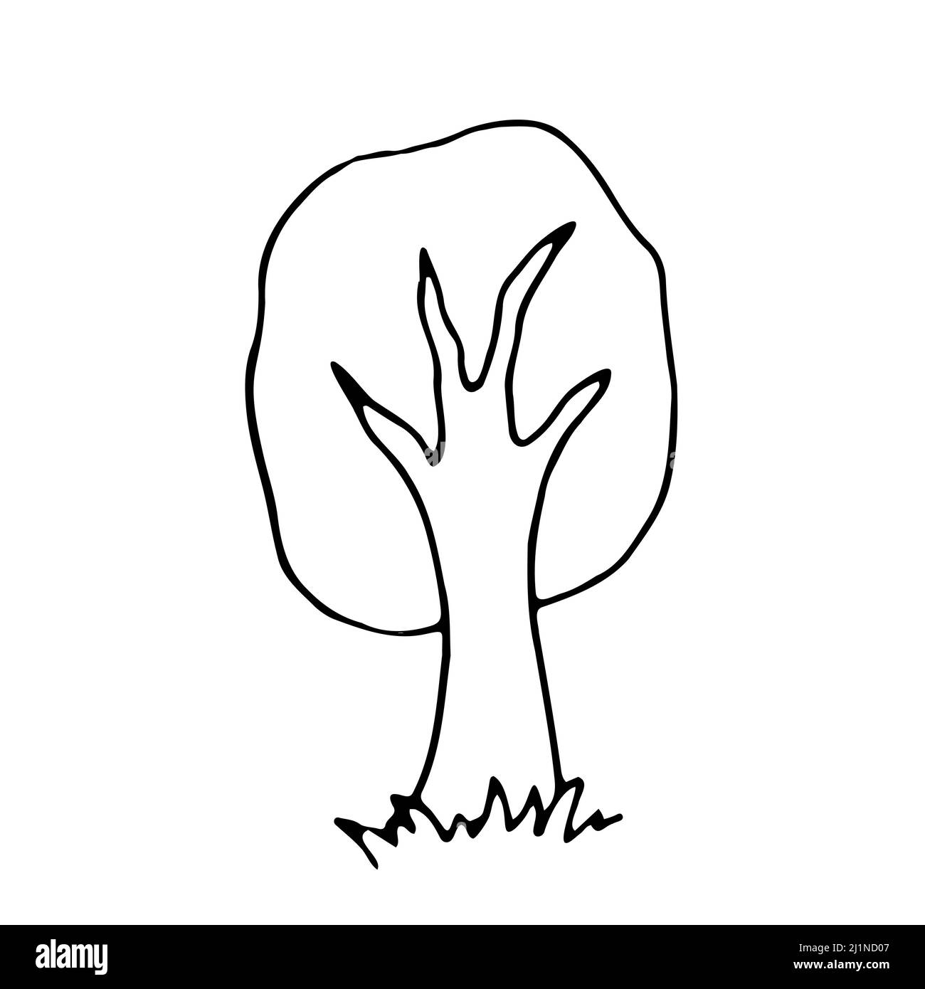 Woodland tree line Cut Out Stock Images & Pictures - Alamy