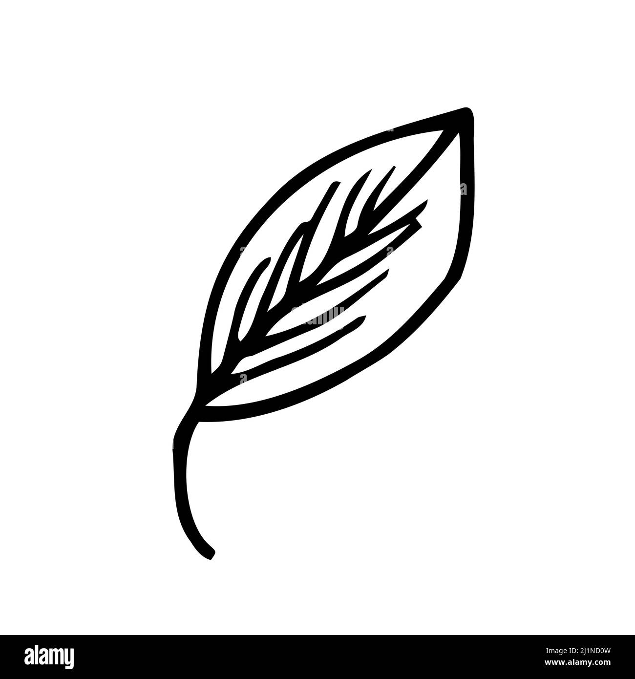 Leaves icon set. Leaf vector design for logo and nature brand identity ...