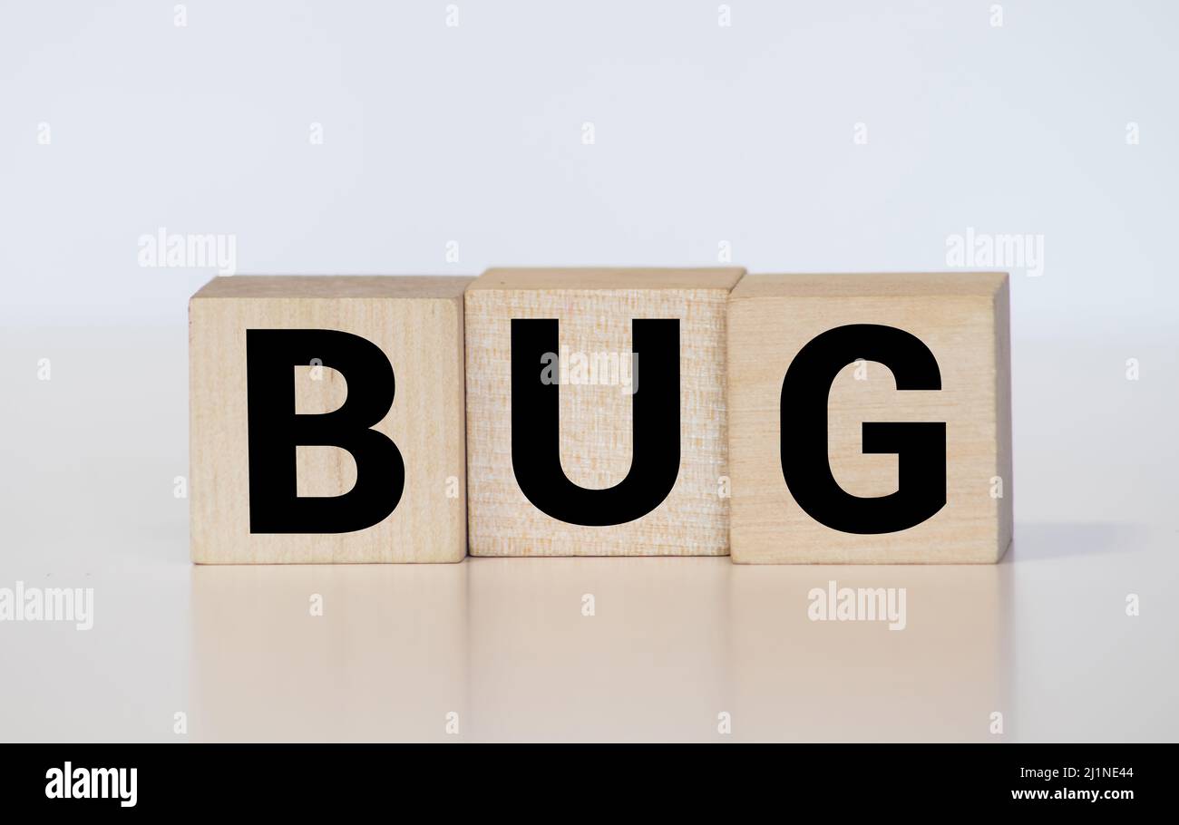 bug - isolated text in wooden building blocks Stock Photo - Alamy