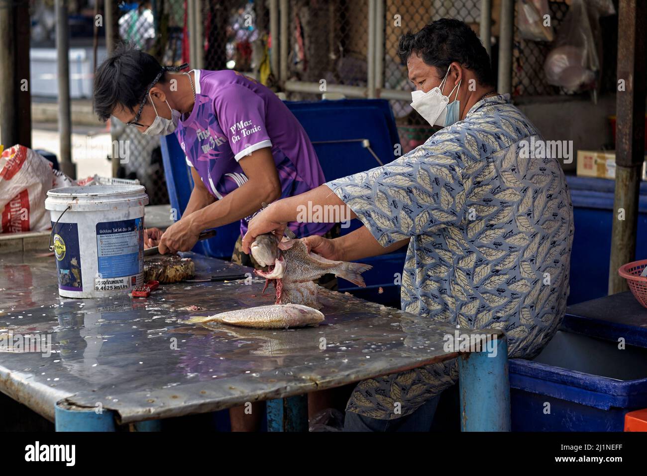 Skinning fish hi-res stock photography and images - Alamy