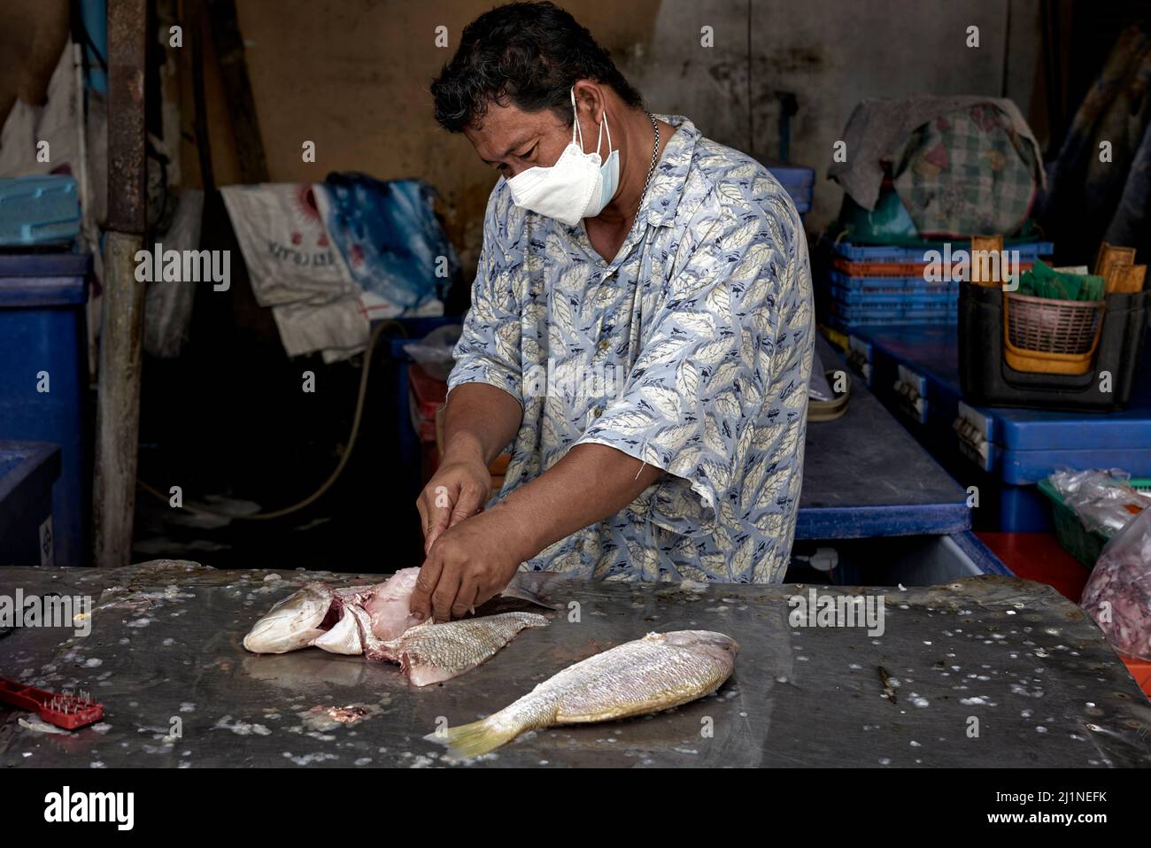 Gutting fish Fishmonger Thailand market stall Southeast Asia Stock ...