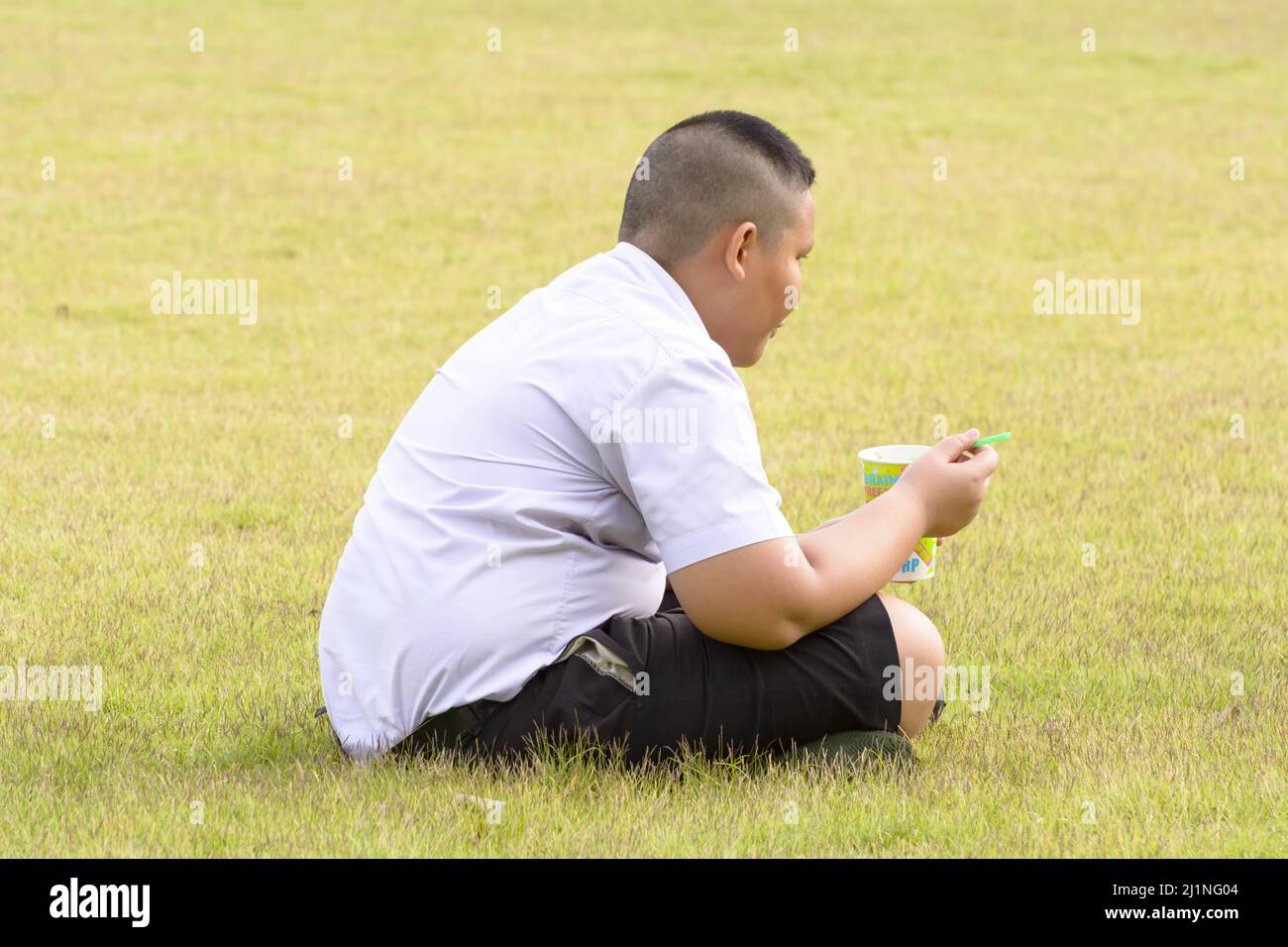 A boy sitting on the grass and eating a cup of Ice cream Stock Photo ...